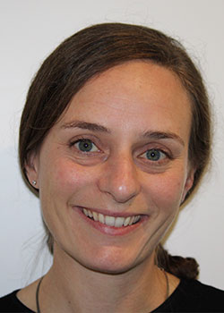 Multiples Myelom: Multiples Myelom: Rasche Blutbildnormalisierung unter ...