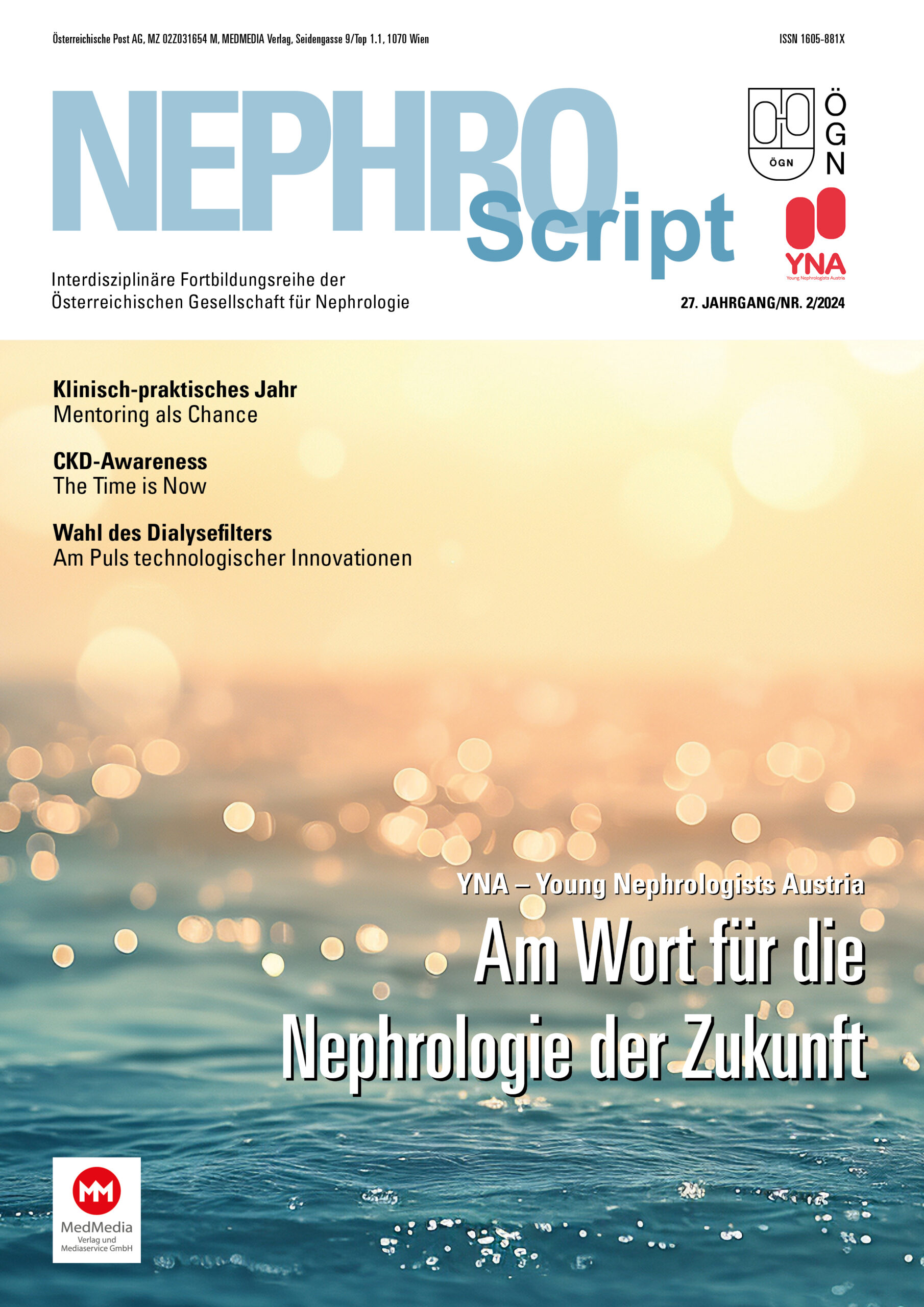 Chronische Niereninsuffizienz: Ursachen, Diagnostik und Therapie ...